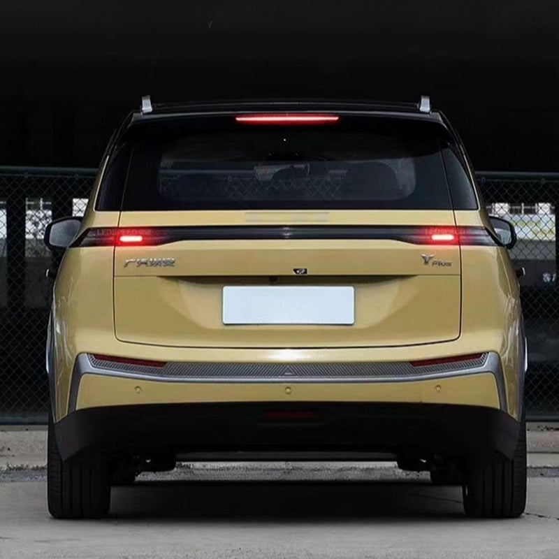 Pilot Flashing LED Lights for AION Y Plus – ECOEVS